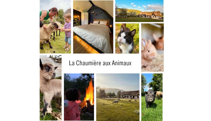 La Chaumière Aux Animaux - Yvetot