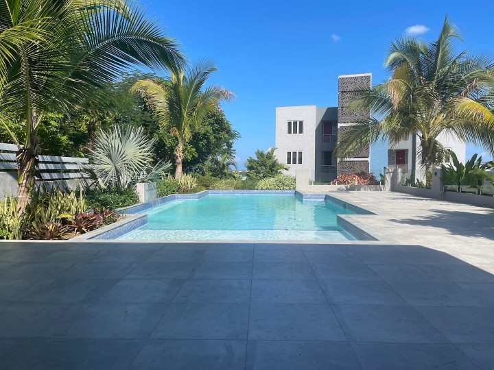 Royale Dream Vacation Entire 2 Bedroom Apartment - Jamaica