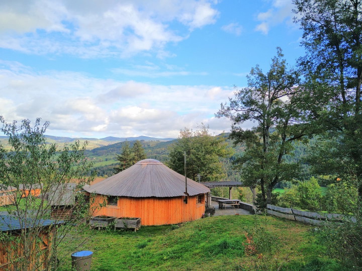 Hutte En Bois Au Milieu De La Nature - France