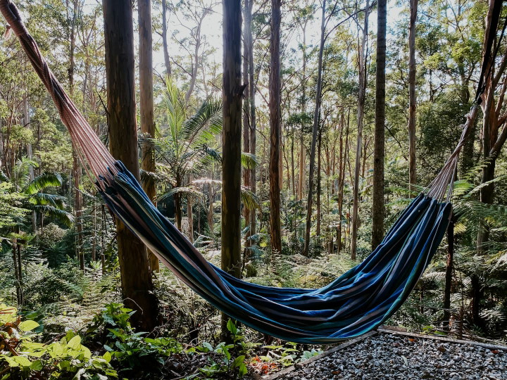 Unbeatable Value Bush Stopover - Coffs Harbour