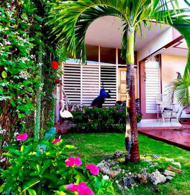 Maison Pleine De Vie, Lumineuse Et Fraîche - Varadero