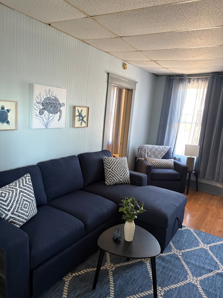 Midtown Upstairs Apt One Bed And One Sleeper Couch - Michigan City, IN