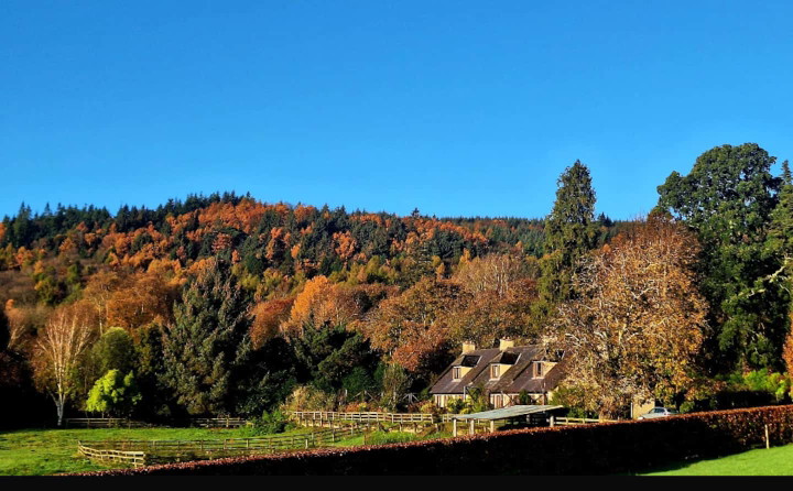 The Sunrise Suite - Wicklow