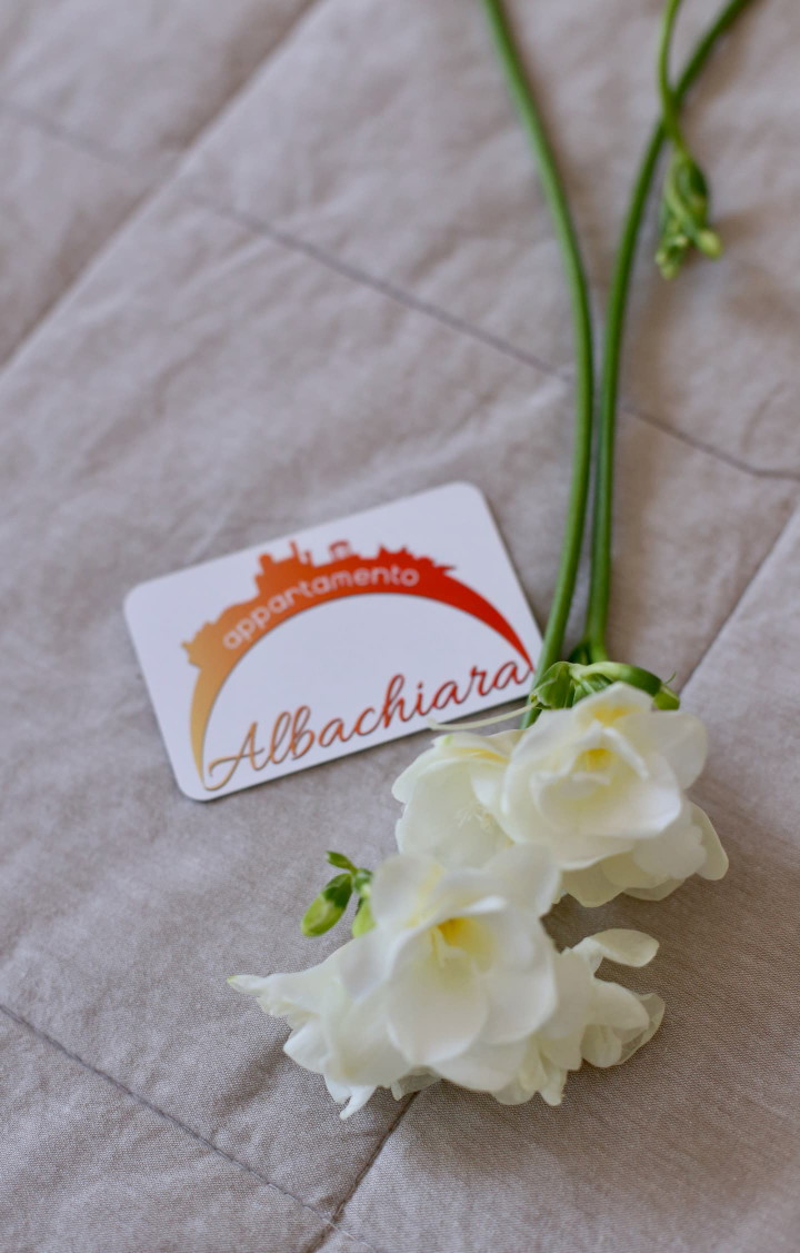 Albachiara Apartment - Trento