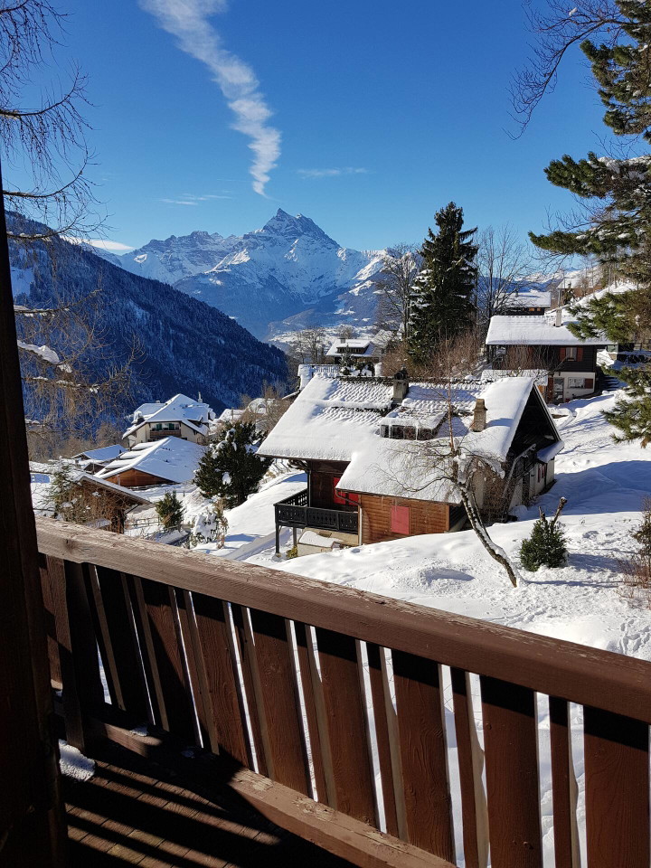 Chalet "Le Naneau" - Gryon