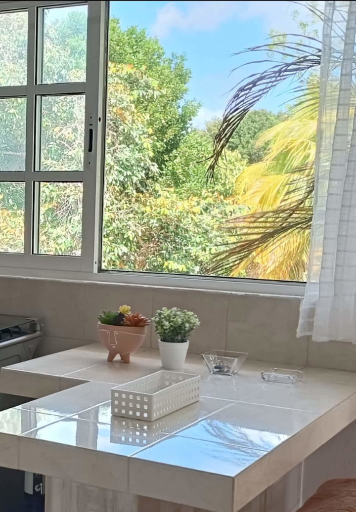 Nice Apartment Near The Sea With A Garden And Parking - Cozumel