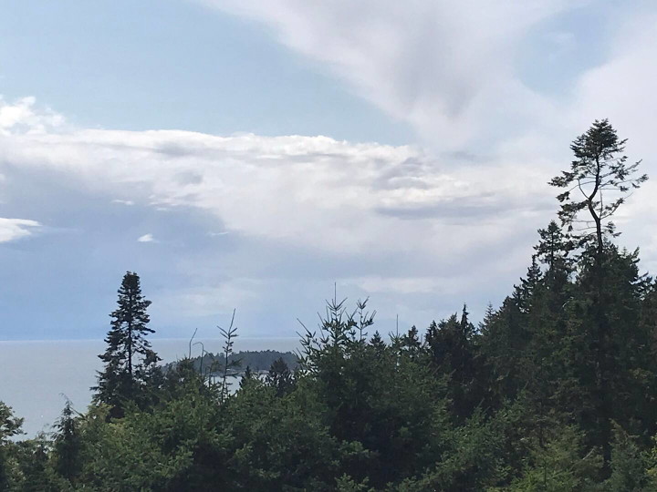 Ocean View At The Perch House - Bowen Island