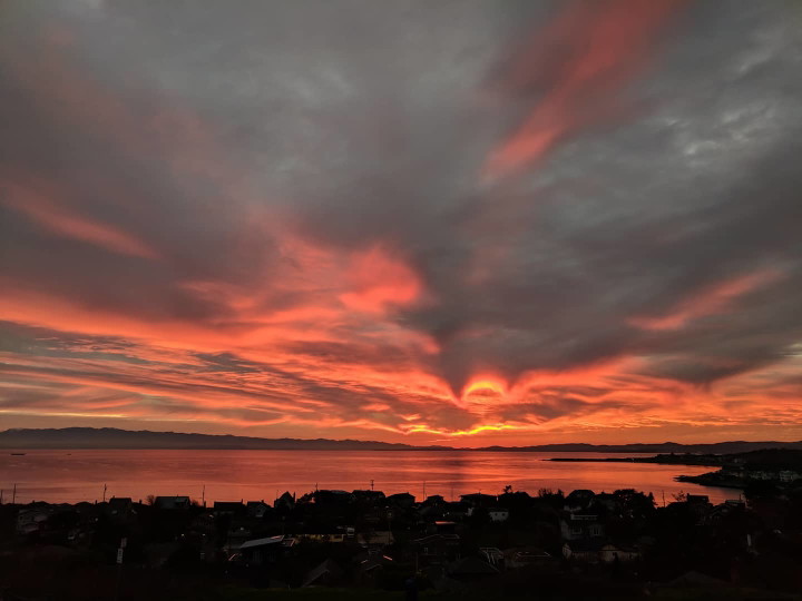 Luxury Home With Stunning Ocean View In Oak Bay - Oak Bay