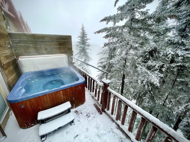 Ski-in+out - Updated - Private Hottub, Ps-5, Tesla - Snowshoe, WV