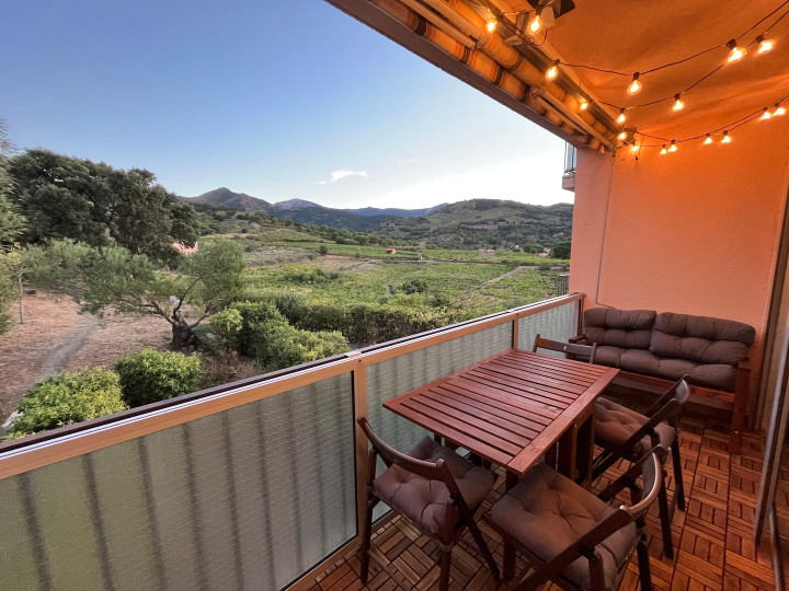Beautiful Flat Overlooking Vineyards With Garage - Collioure