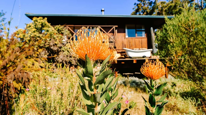 Forest Heart Cabin: Slipper Bath & Fireplace - Knysna