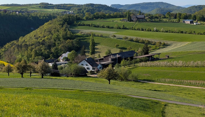 Land Idylle Auf Dem Bauernhof - Suisse