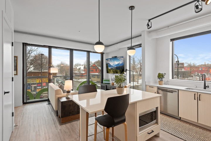 Beautiful 2 Bed 2 Bath Apartment On Eat Street! - Minneapolis, MN