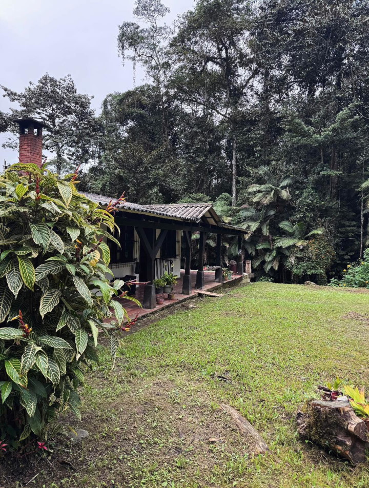 Finca Neblina Del Bosque (Cerca A Dapa) - La Cumbre