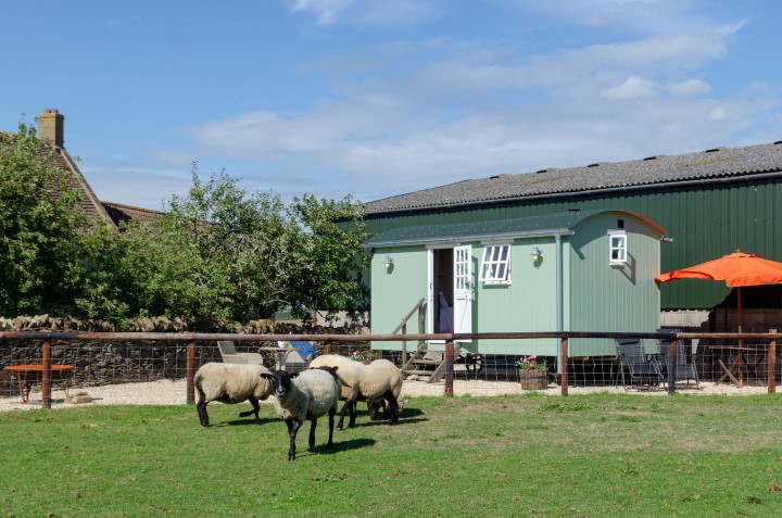 Shepherd's Hut On Cotswold Farm Near Castle Combe - Castle Combe