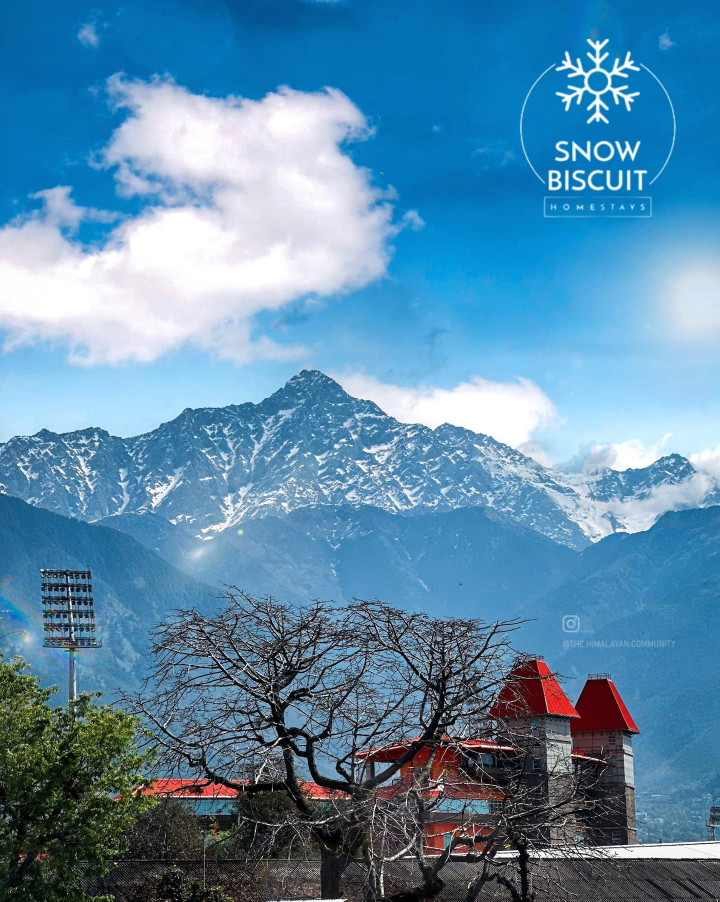 Snow Biscuit Villa With Garden & Mountain View - Dharamshala