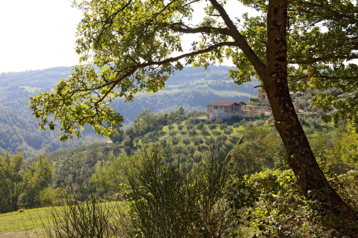 2 Lovely Apartments With Reserved Pool: Privacy And Freedom - Umbria