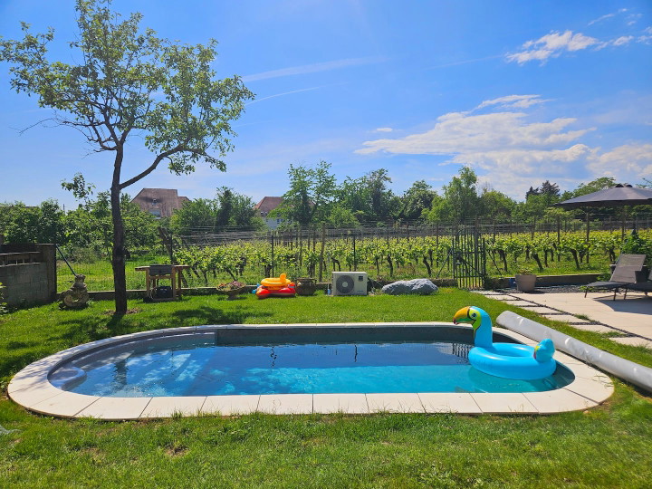 Au Cœur Des Vignes, Piscine, Jardin & Terrasse - Bergheim, France