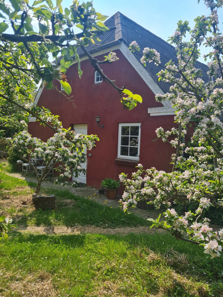 Annex - Beachfront Rental - Blåvand