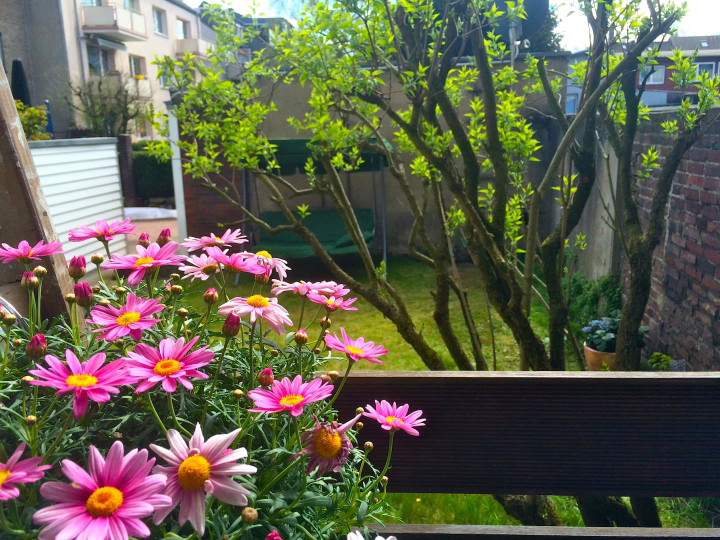 Charming Living In A Central Location - 뒤스부르크