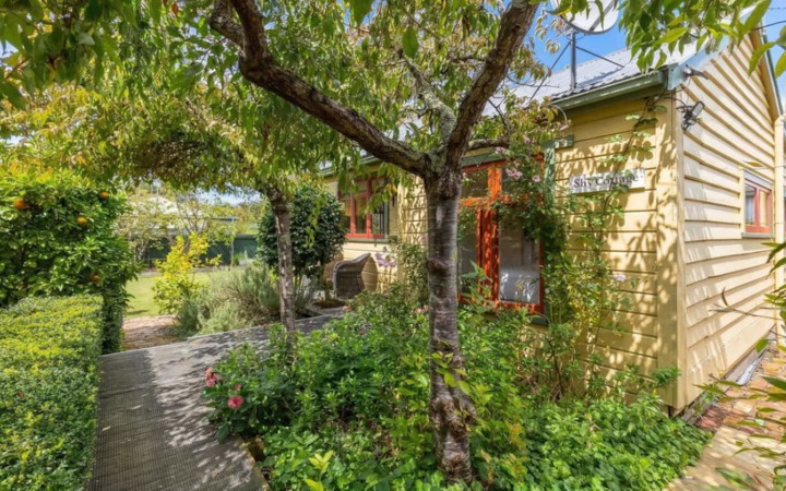 Shy Cottage - Greytown