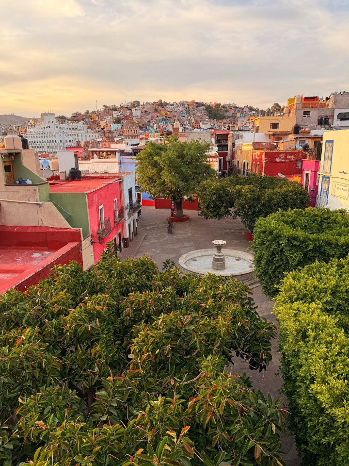 The Guanajuato Experience (Mexiamora) - 瓜納華托