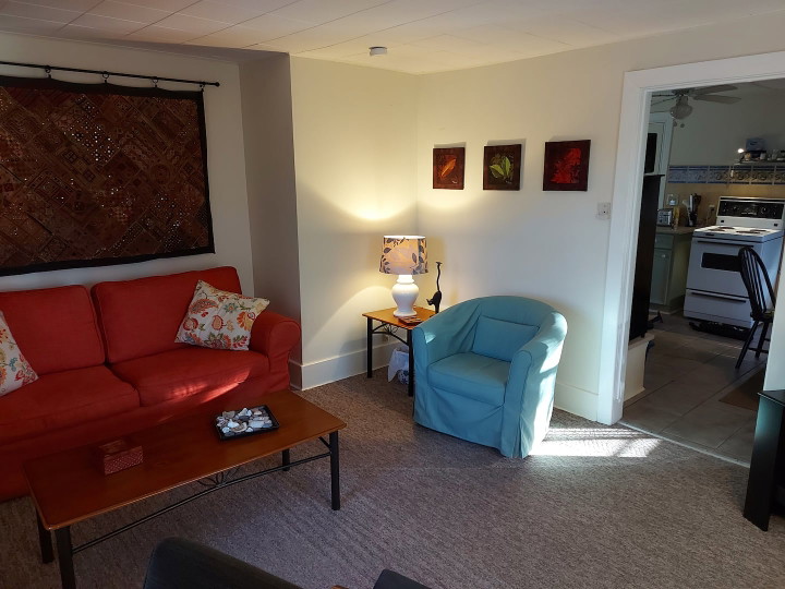 Bright, Private 1 Br Coachhouse With Fast Wifi - Kingsville