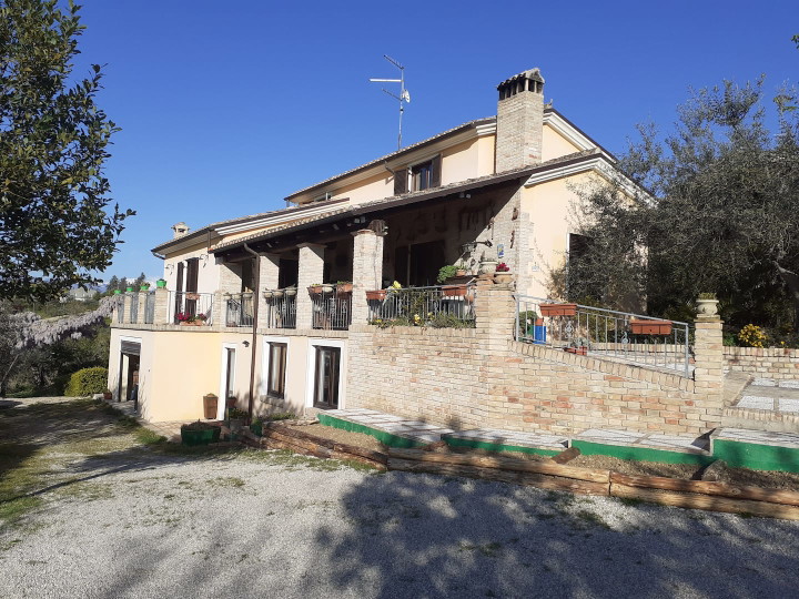 A Villa Among The Olive Trees. - Abruzzo
