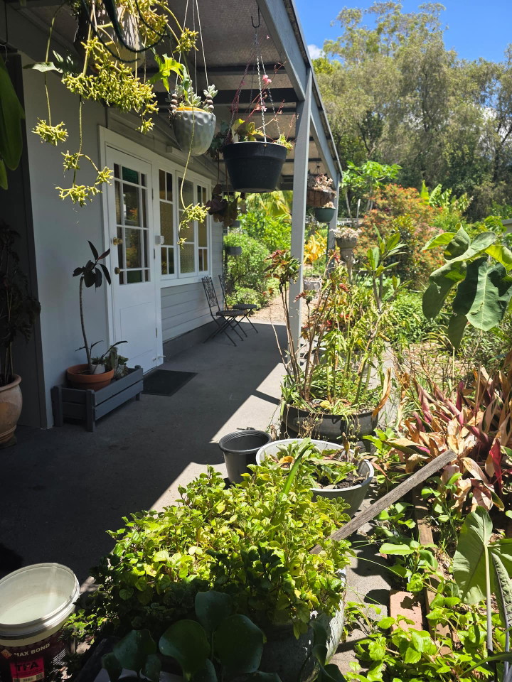 The Garden Studio - Lismore