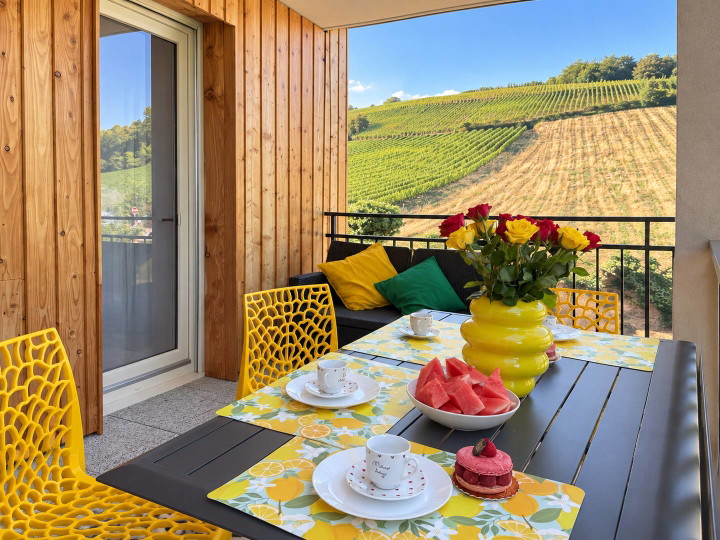 Belle Vue Du Kirchberg T2 Neuf Face Aux Vignes - Ottrott