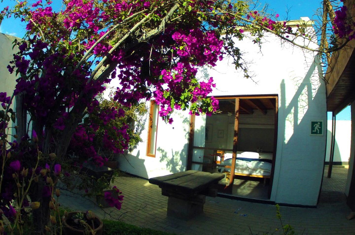 The Alternative Space B & B - Swakopmund