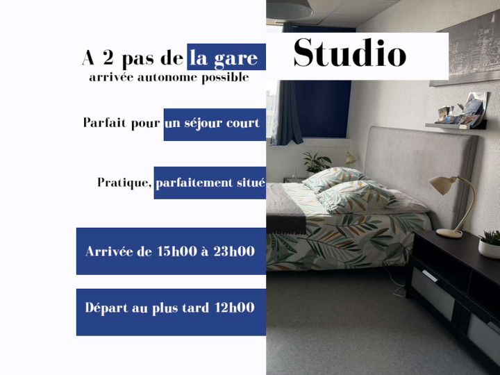 Studio Cosy 2 Min Gare De Tours Idéal Pro-tourisme - Tours