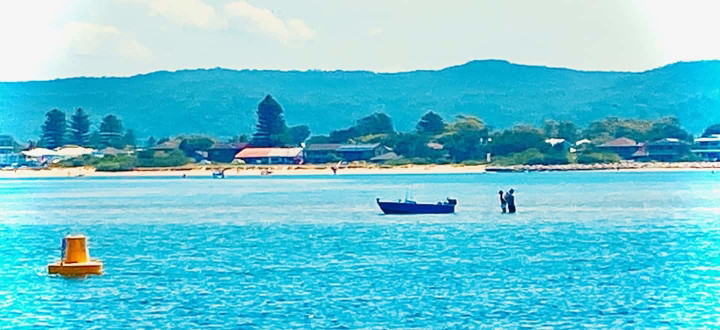 Chalet Privé, à Distance De Marche De La Plage, Des Restaurants, Du Ferry - Sydney