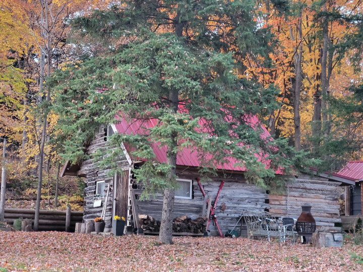 Lavender Farm Century Cabin - Hockley Valley, ON