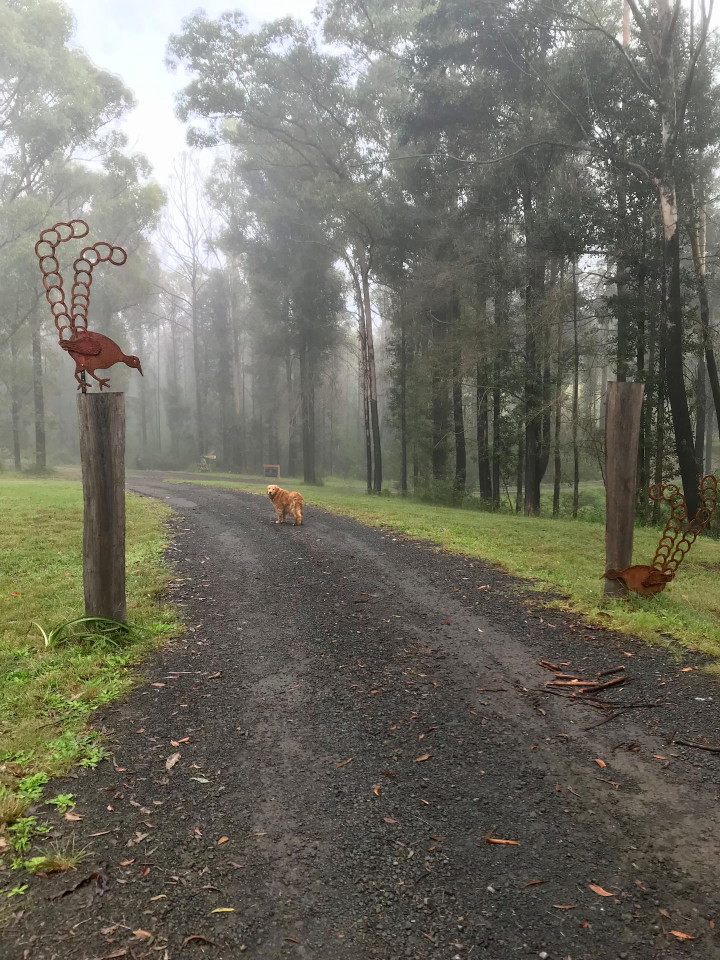 The Retreat At Lyrebird Ridge Organic Winery - South Coast