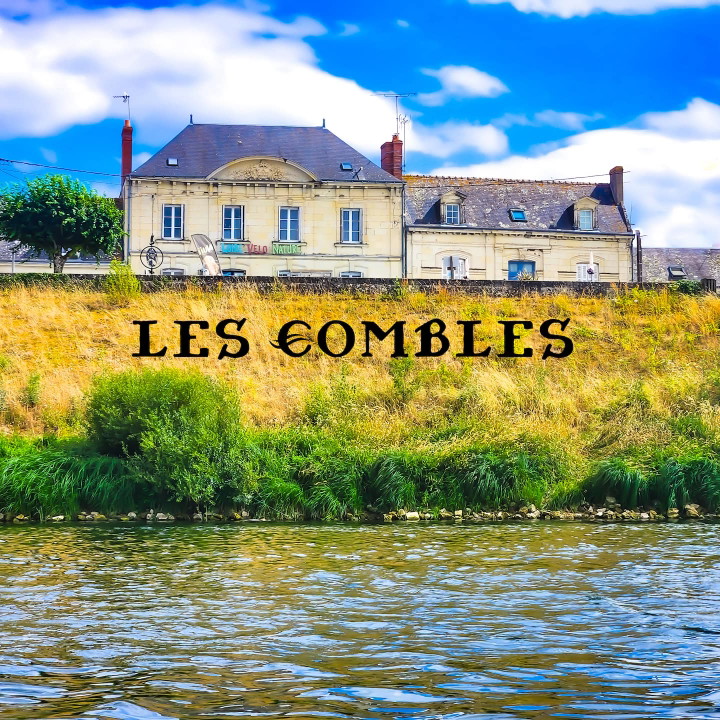 Combles De Charme Au Pied De La Loire - Langeais