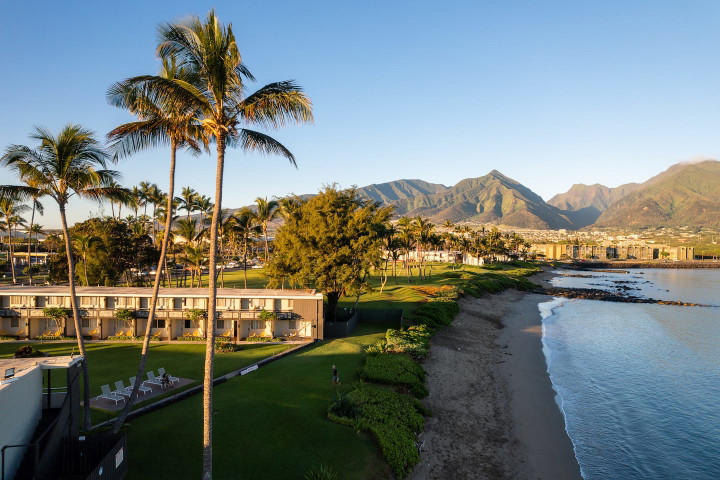 Your Maui Adventure Starts Here! 2 Beautiful Units - Maui