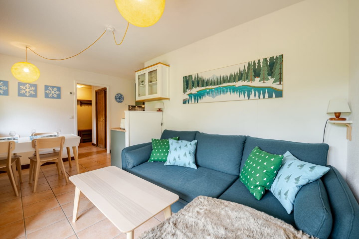 2 Bedroom Apartment; Seasonal Shared Pool; Ski-bus - Samoëns