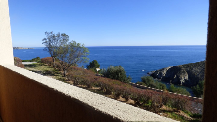 Studio Familial Vue Sur Mer - Banyuls-sur-Mer