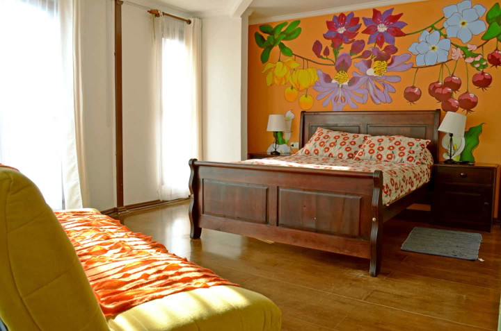 Casa Mutrun - Constitución