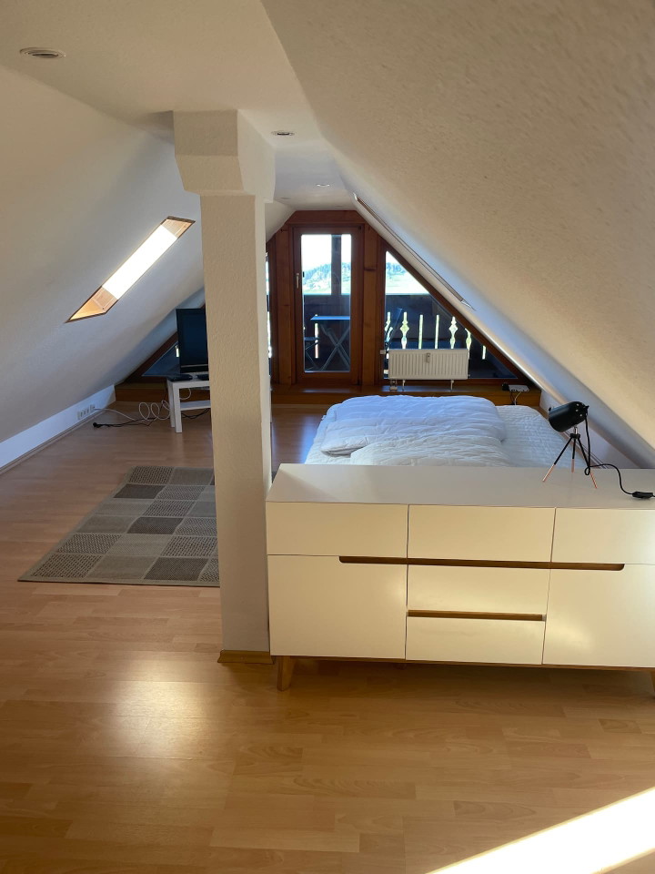 Apartment Directly On The Black Forest - Bühl