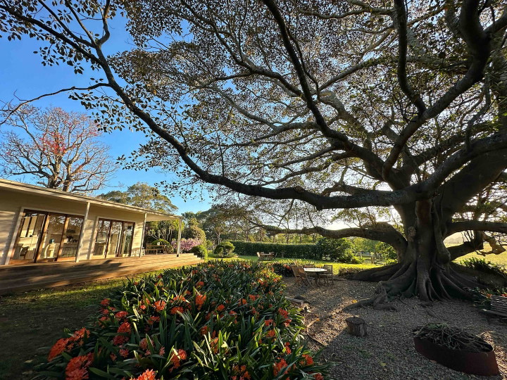 Berry Farm House - Berry