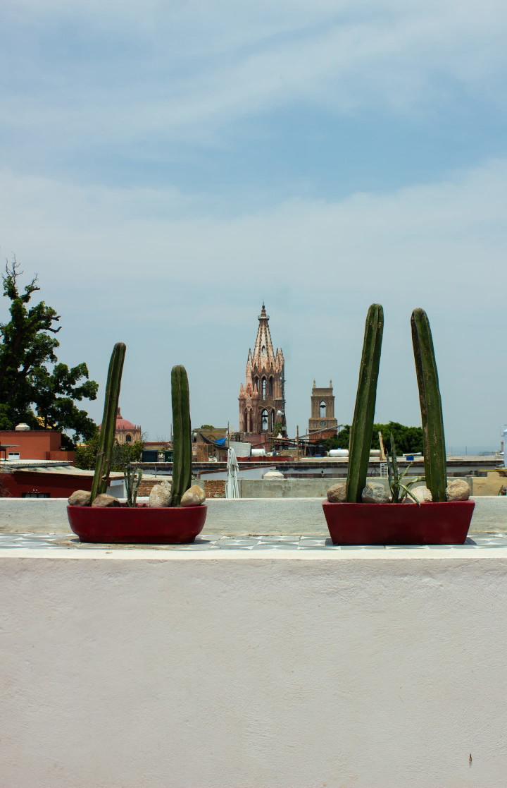 Loft De 100&nbsp;Ans + Toit-terrasse (à 1&nbsp;Pâté De Maisons De La Cathédrale) - San Miguel de Allende