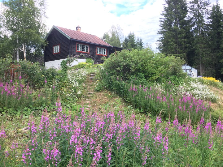 Tømmerhytte Med Flott Utsikt - En Time Fra Oslo. - Gran
