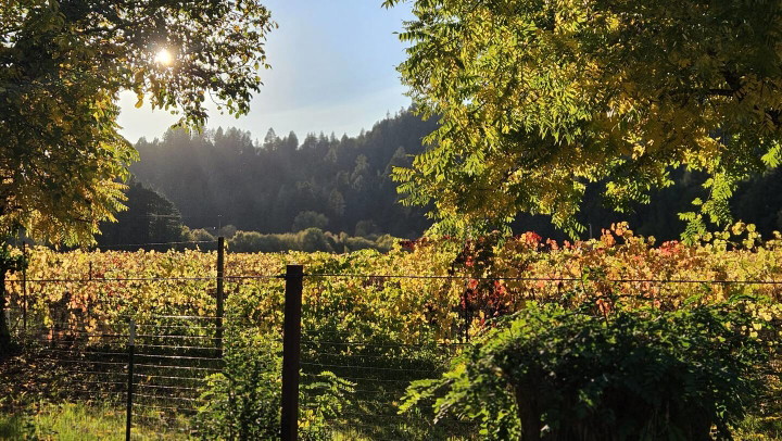 Indigo River Retreat - Guerneville, CA