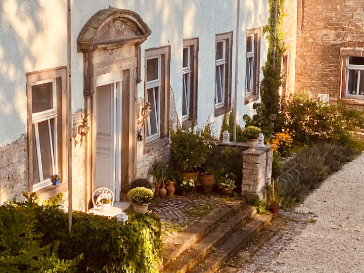 Serene Historic Castle. - Freyburg