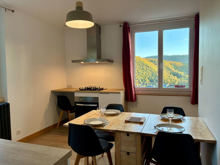 Appartement T2 Rénové à Neuf. Vue Exceptionnelle - Mende