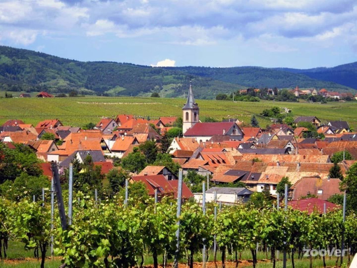 Beau Gite Climatisé  Labellisé Avec Belle Terrasse - Colmar