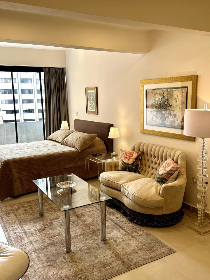 Distinguished Apartment! - Paraguay