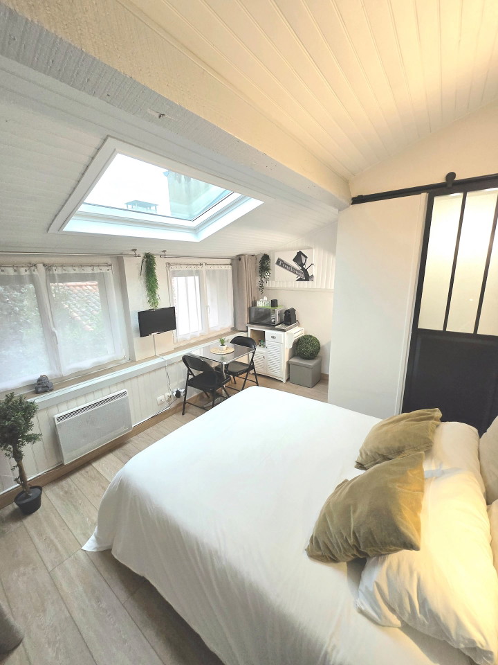 Bright, Charming, Quiet, And Everything Within Walking Distance! - Toulouse